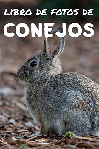 Mejor Fotos Conejos: Recomendaciones y sugerencias - Mejor Precio en México