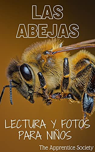 Comprar Fotos Abejas: Guía de compra - Mejor Precio en México